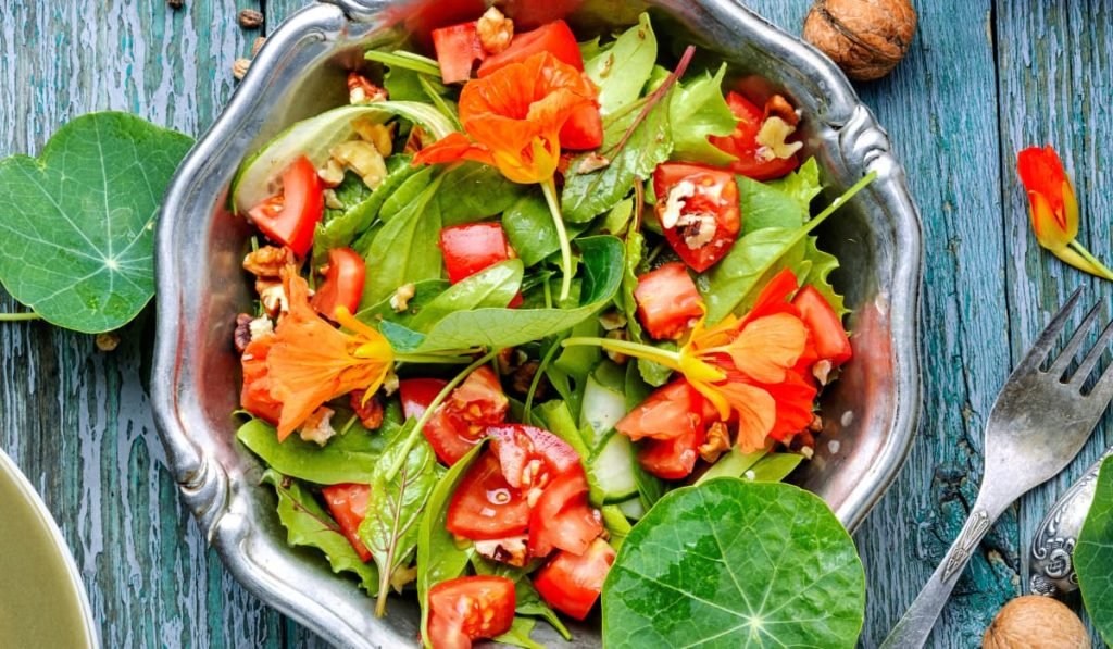 5 Ricette Estive Veloci e Sfiziose: Gustose Idee per un'Esperienza ...